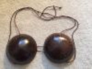 Hawaiian Coconut Bra – Party America