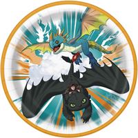 How to Train Your Dragon Lunch Plates – Party America