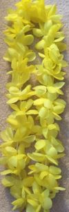 Spirit Yellow Hawaiian Lei – Party America