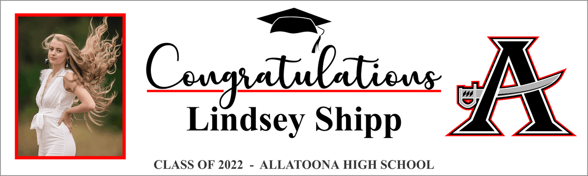Allatoona High School Banner I – Party America