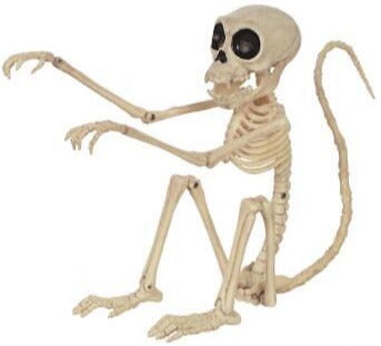 Monkey Skeleton 7 inches – Party America